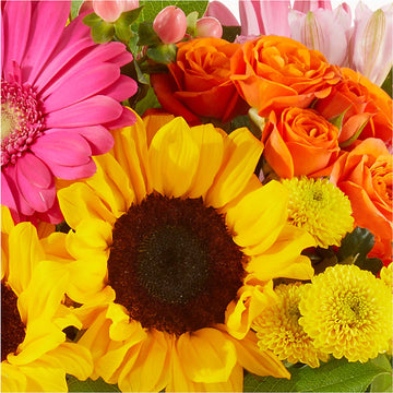 San Antonio Florist | Same Day Flower Delivery by Daily Bloom