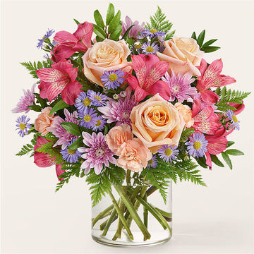 San Antonio Florist | Same Day Flower Delivery by Daily Bloom