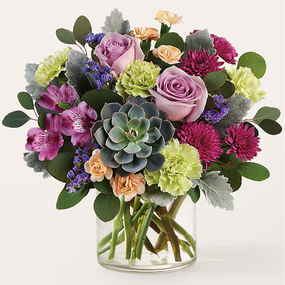 San Antonio Florist | Same Day Flower Delivery by Daily Bloom